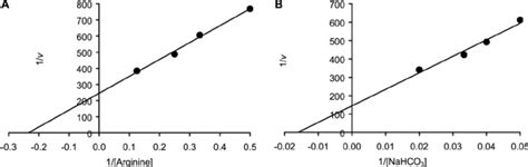 Double Reciprocal Plots To Determine Kinetic Parameters Of L Arginine