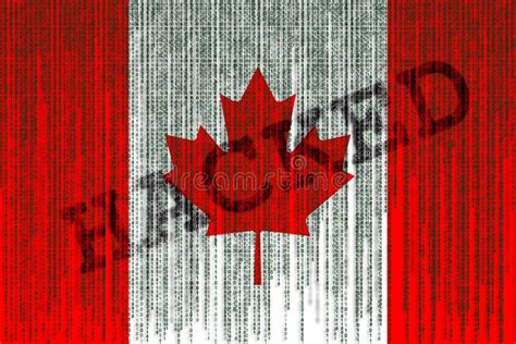 Data Hacked Palestine Flag Palestinian Flag With Binary Code Stock