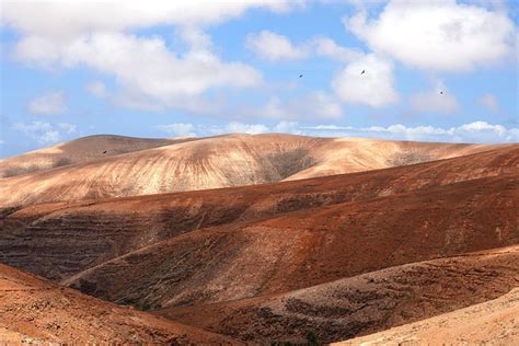 Github Actionsとansibleを併用してる場合、ansible Vaultでgithub Actionsのsecretsの数は