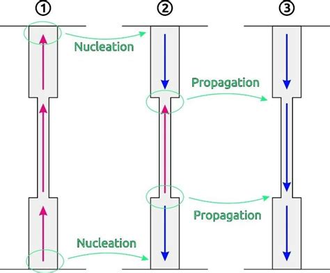 Schematic Illustration Of Processes Implemented In The Modeling A