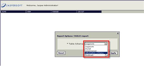 Random Allsorts Jasper Reports Parameterisation Of Reports