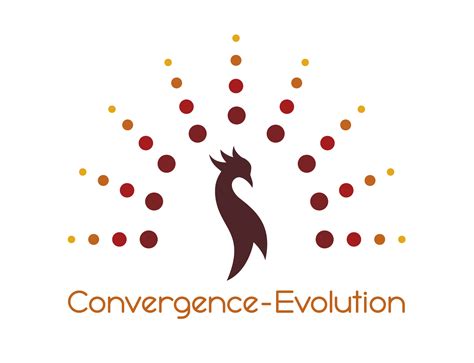 Convergence Évolution