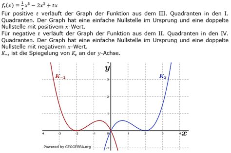 Ganzrationale Funktionen Mit Parameter Level Expert Blatt