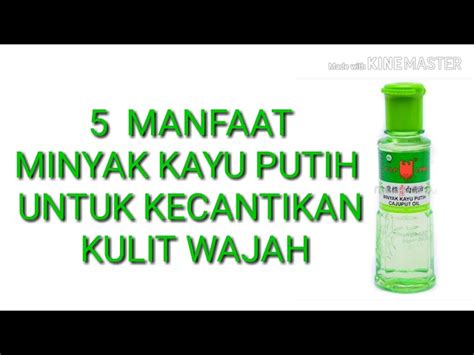 Manfaat Minyak Kayu Putih Untuk Wajah Rahasia Kecantikan Yang Jarang