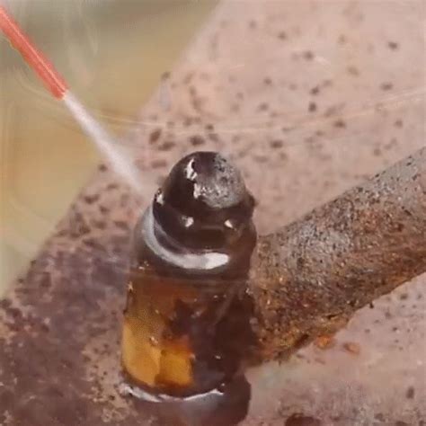 Multipurpose Rust Remover Spray Lionclay