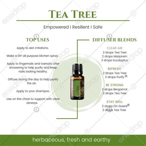 Tea Tree Top Uses Diffuser Blends Australia Diffuser Blends Tea Tree Tea Tree Essential Oil