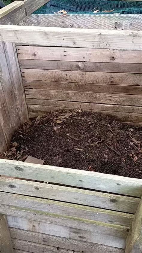 My Composting Set Up And Progress Rcomposting