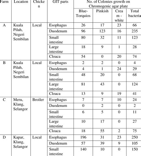 Colony Count Of Colonies Grow On Chromogenic Agar Based On Three Basis Download Scientific