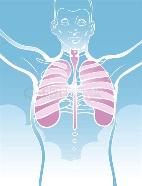 呼吸高清图片 人体呼吸系统示意图 人体呼吸系统示意图图片免费下载 5143374270 千图网pro