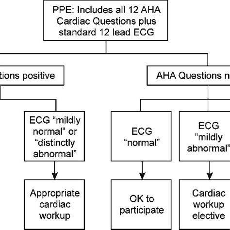 3 Decision Tree For Ecg Based Screening Program Reproduced With