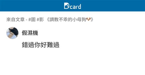 圖 影 《調教不乖的小母狗🐶》 B61 留言 Dcard