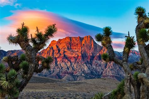 Las Vegas Red Rock Canyon A Spectacular Desert Wonderland Near Las