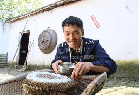 河南汝阳：大山里的养蜂人 人民图片网