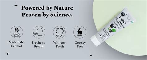 Buy Perfora Activated Charcoal Toothpaste 100g Sls And Titanium