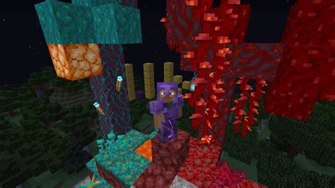 Minecraft Snapshot W A Nether Update YouTube