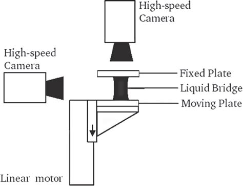 Sketch Of The Experimental Setup Download Scientific Diagram