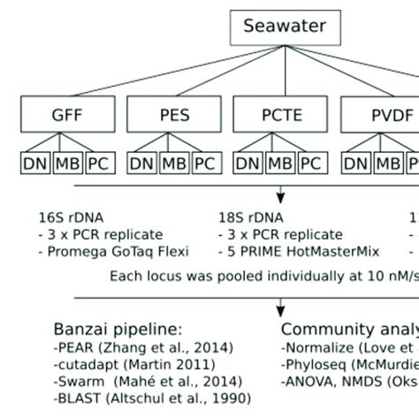 Schematic Of Sampling And Laboratory Protocols Extraction Protocols