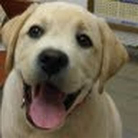 Jonathan Terry Youtube