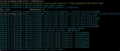 服务器的启动与关闭 ZLMediaKit ZLMediaKit Wiki GitHub