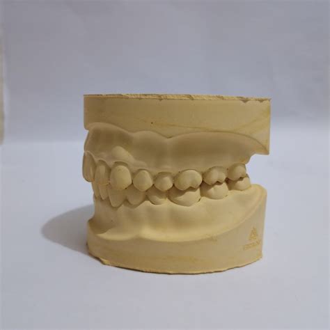 Study Cast Looking For On Carousell