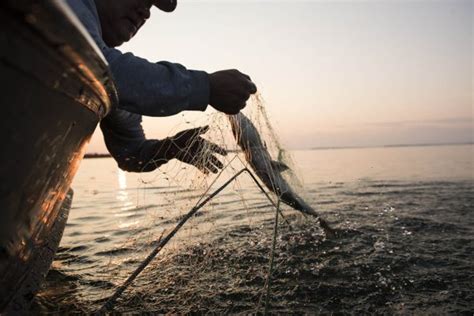 Devolution Responsible Nwt