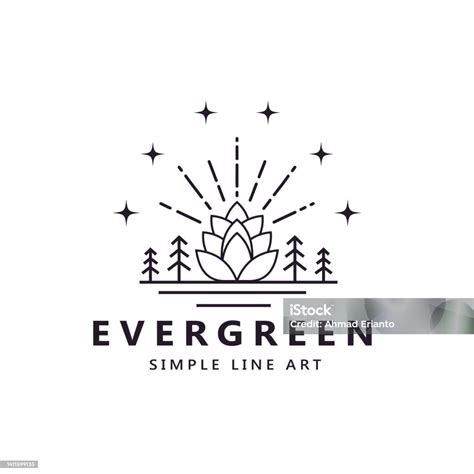 파인 그린 전나무 삼나무 숲 소나무 빈티지 복고풍 힙스터 라인 아트 심볼 디자인 솔송나무에 대한 스톡 벡터 아트 및 기타 이미지 솔송나무 0명 가문비나무 Istock