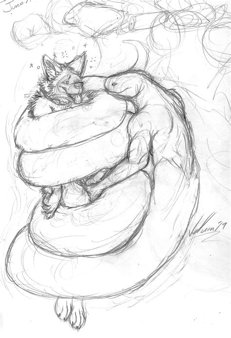 Rule 34 Absurd Res Bondage Bound Canid Canine Canis Collar Coyote