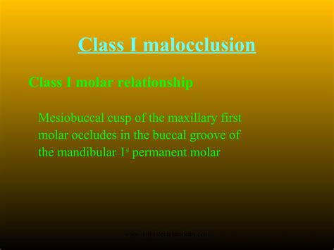 Classification Ppt
