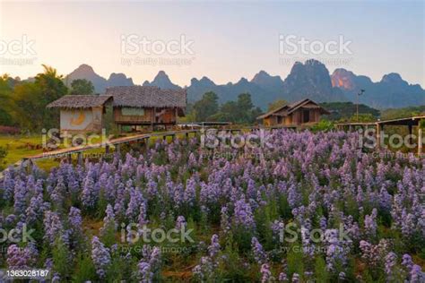 숲 나무와 녹색 산 언덕 주택의 공중 최고 보기 자연 풍경 배경 태국 0명에 대한 스톡 사진 및 기타 이미지 0명 경관