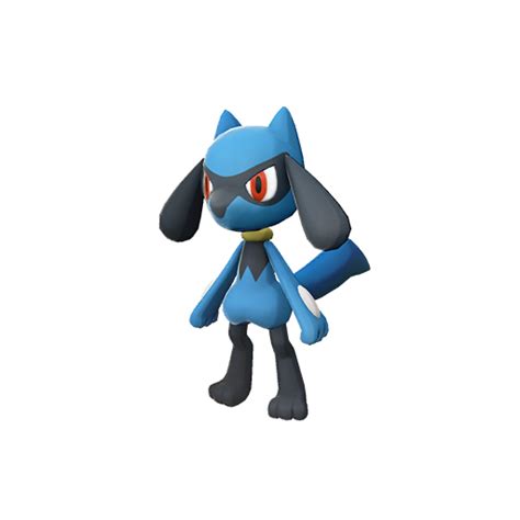 Riolu 447 Pokédex Leyendas Pokémon Arceus