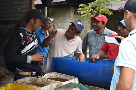 Cortolima Corporación Autónoma Regional Del Tolima Cortolima