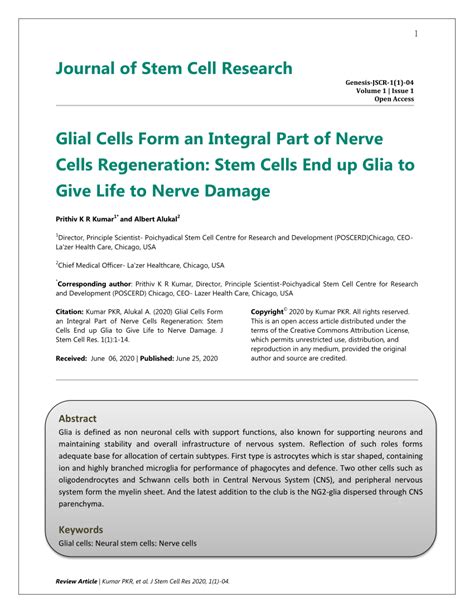 Pdf Glial Cells Form An Integral Part Of Nerve Cells Regeneration