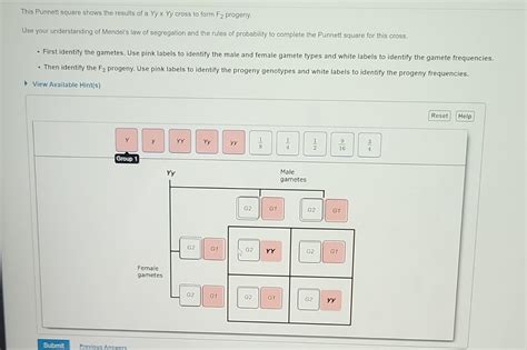 Solved This Punnett Square Shows The Results Of A Yy×yy
