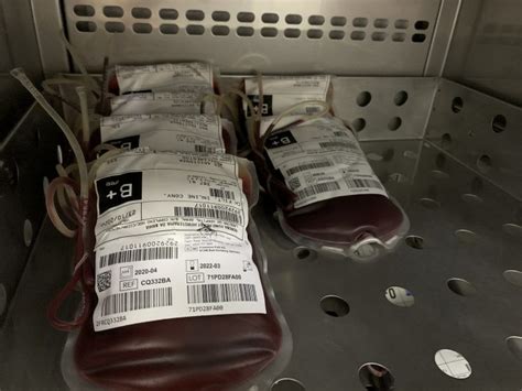 Estoque De Sangue Da Hemoba Permanece Em Estado Crítico Portal Massa