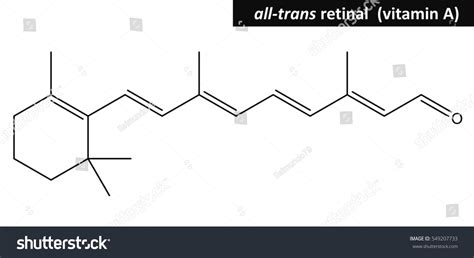 Molecular Structure All Trans Retinal Retinaldehyde Stock Illustration