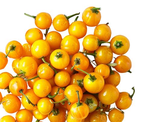 Aji Charapita Productos Pandurata