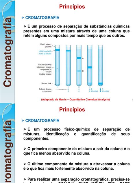Princípios Básicos Da Cromatografia Conceitos Fundamentais E Exemplos