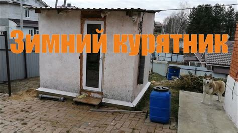 Теплый курятник. Общее. - YouTube