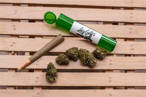 Hemp Pre Rolls Lazy Gators Hemp Farm