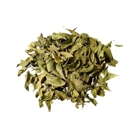 Buy Organic Dry Mehndi Leaves Henna Leaves Online At Best Price In India