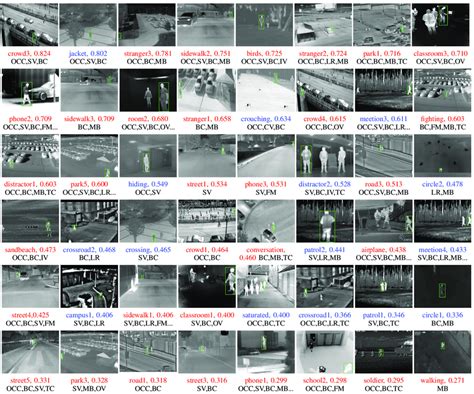 some annotated sequences of the proposed dataset the target s