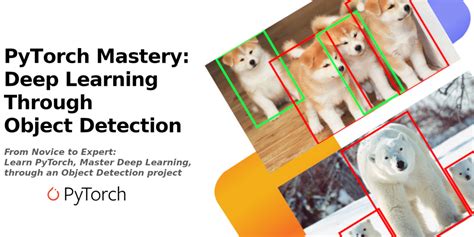Pytorch Mastery Deep Learning Through Object Detection