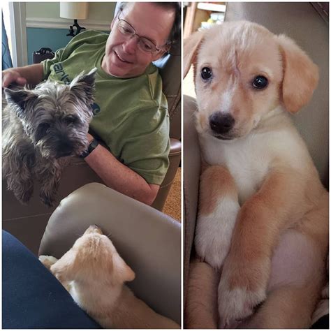 Toby Is Adjusting To Not Being Larry Blunt Journalist