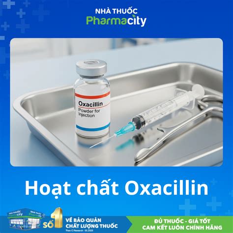Hoạt Chất Oxacillin Kháng Sinh Penicillin Kháng Penicillinase Trị Tụ Cầu