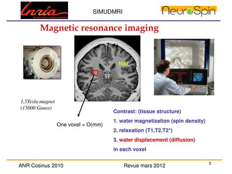 PPT Modeling And Simulation Of Diffusion MRI Signal In Biological Tissue PowerPoint