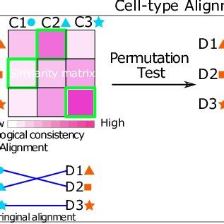 Overview Of AIscEA A Input Datasets Of Single Cell RNA Seq And
