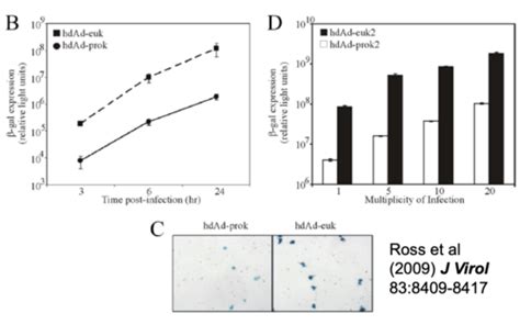 Module 3 Statistical Analysis And Interpretation Of Biological Data Flashcards Quizlet