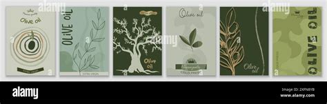 Set Template Brochure Cover Poster Or Leaflet Of Vegetable Olive Oil