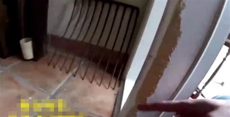 兩歲哈士奇咬壞門框，主人責怪時竟還流露出無辜的表情 每日頭條