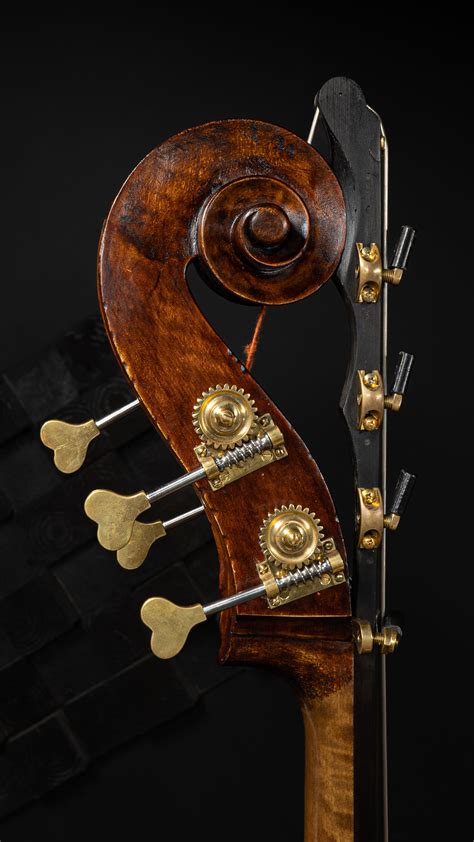 Double Bass Scroll In 2024 Double Bass Bass Bass Guitar